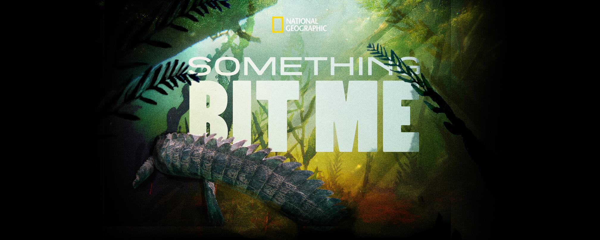 Something Bit Me! Season 2 Release Date? Nat Geo Renewal & Premiere ...