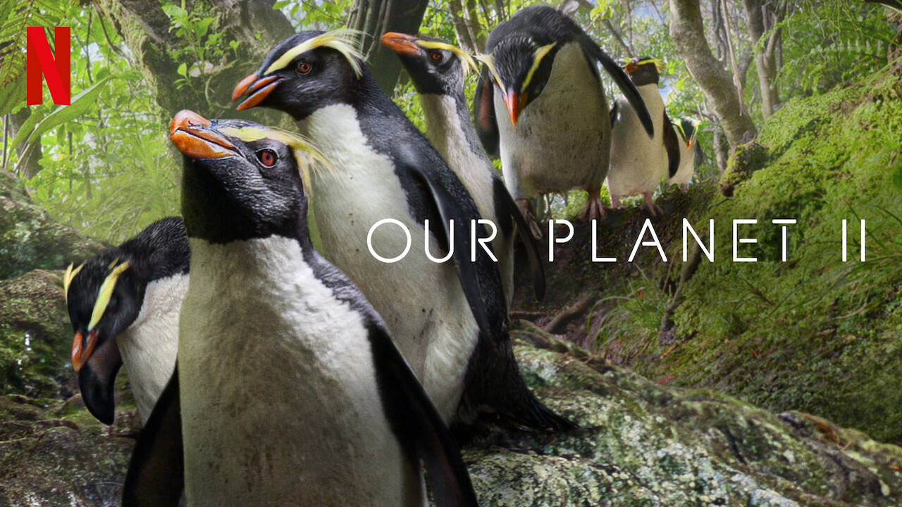 Our Planet Season 2 Netflix Premiere Date – Releases TV