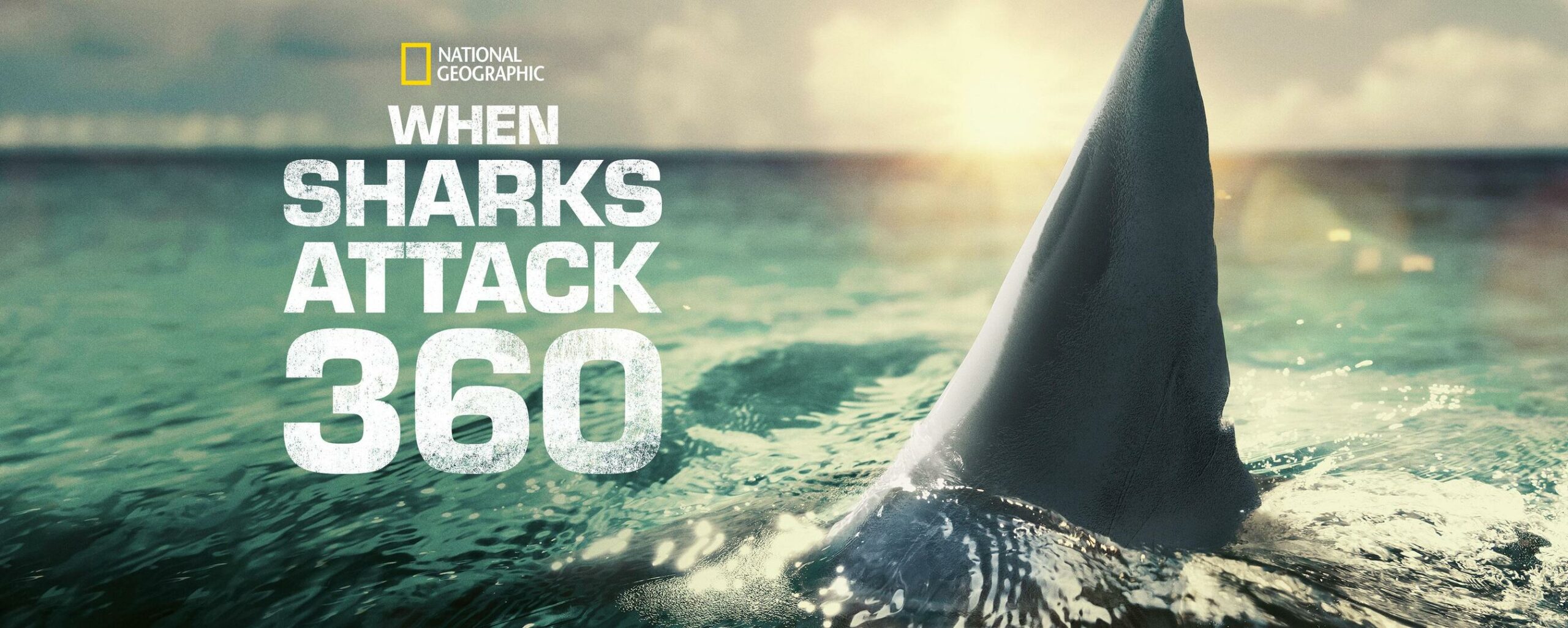 When Sharks Attack 360 – Premiere Date For Nat Geo Channel Series – Releases TV